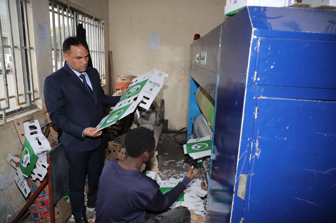 SKL Heads to Market with Tripled Revenue, But Liquidity Flags Remain ...